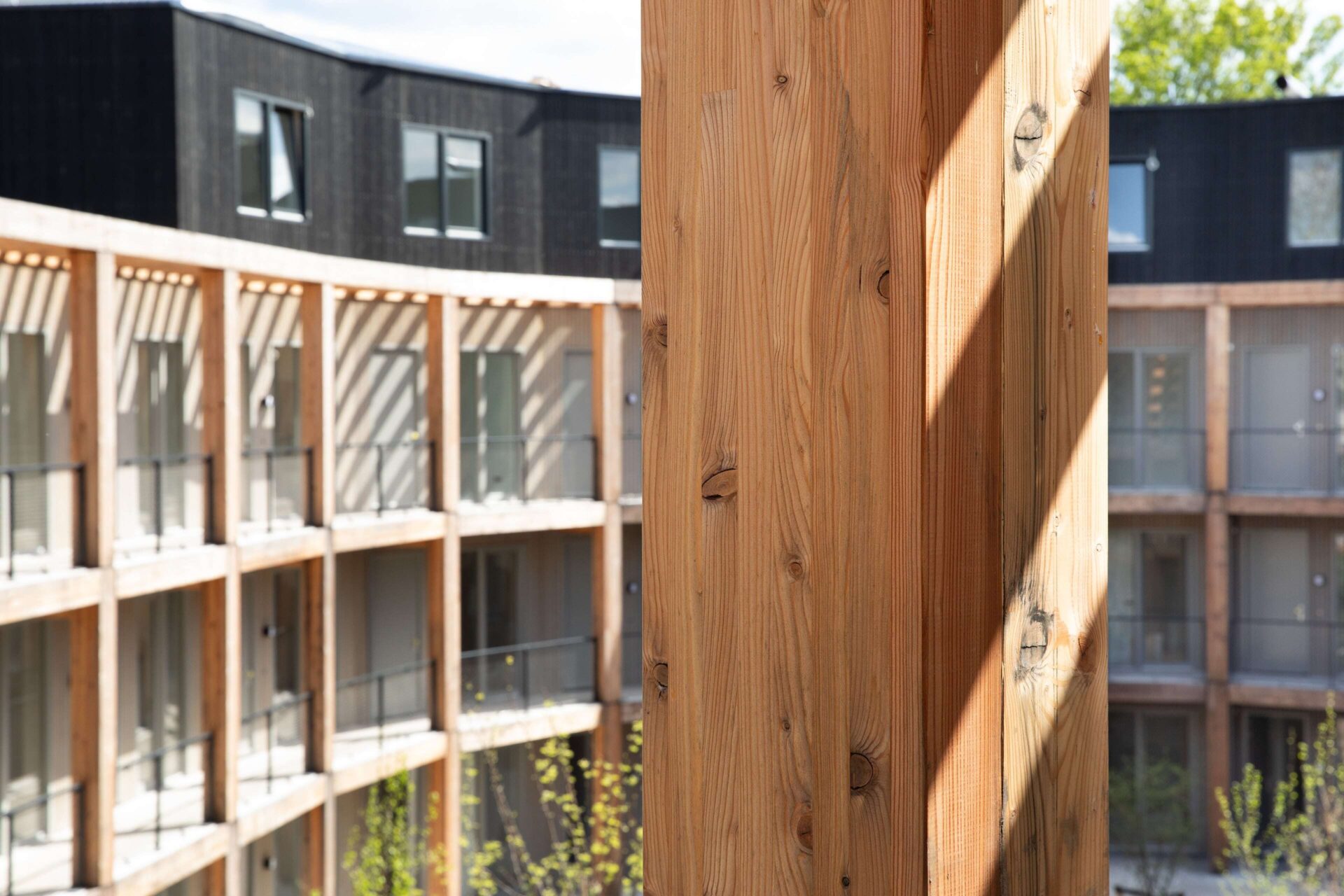 ROOT | LEVS architects